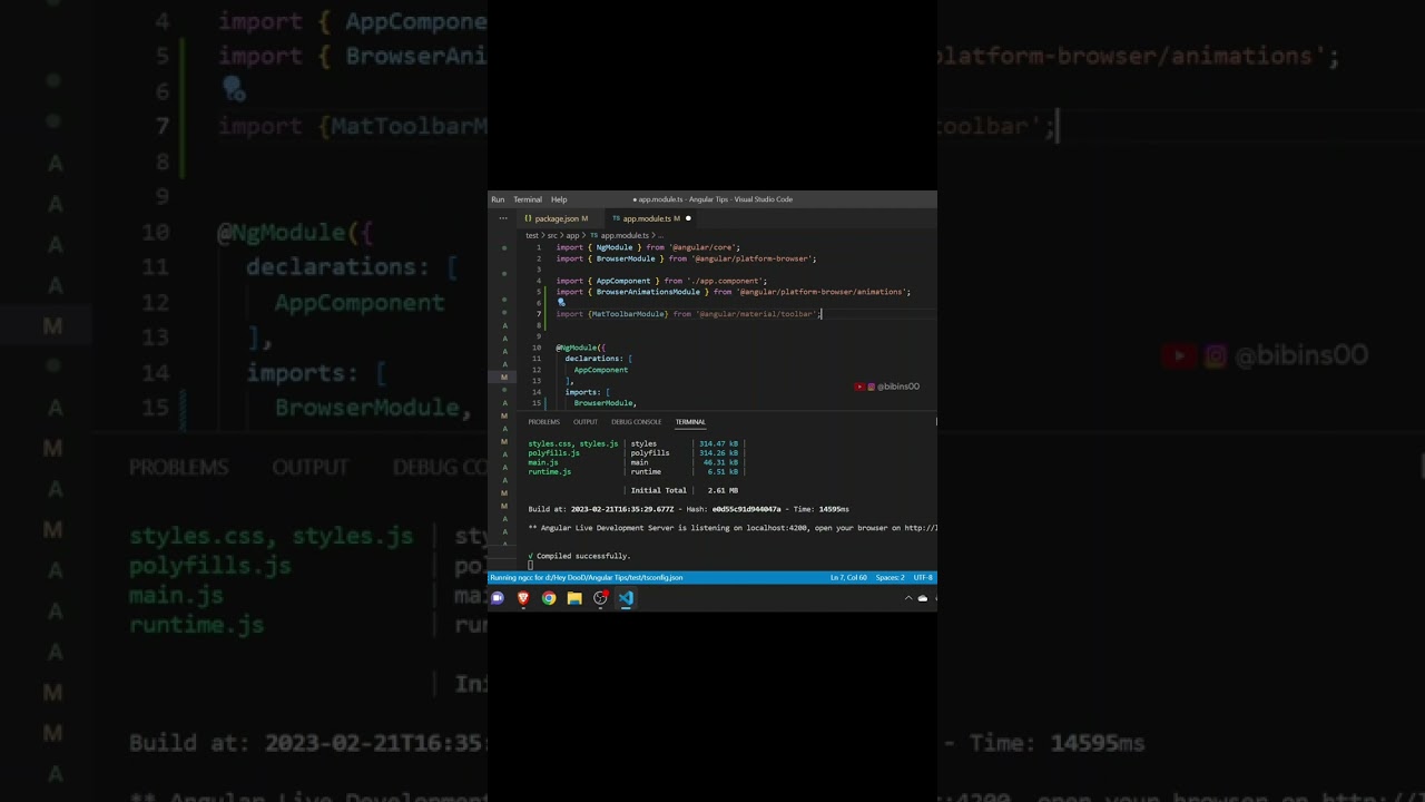 How to apply custom theme in Angular Material | Programming Tips | Hey Dood