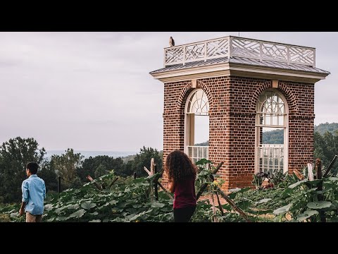 Monticello for Kids