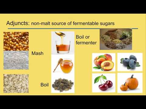 Adjuncts in Beer - What They Are and How to Use Them