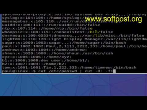 cut command example in Unix