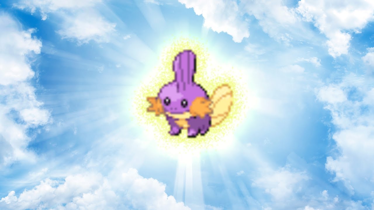 Creating The Perfect Mudkip Trailer