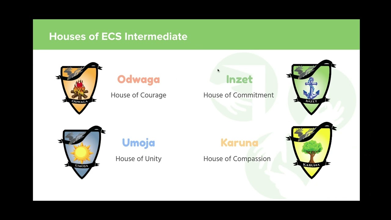 ECS Intermediate (3–5) Overview