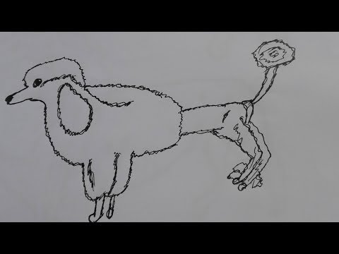 How to draw a poodle dog-draw a cute poodle-draw a poodle dog step by ...