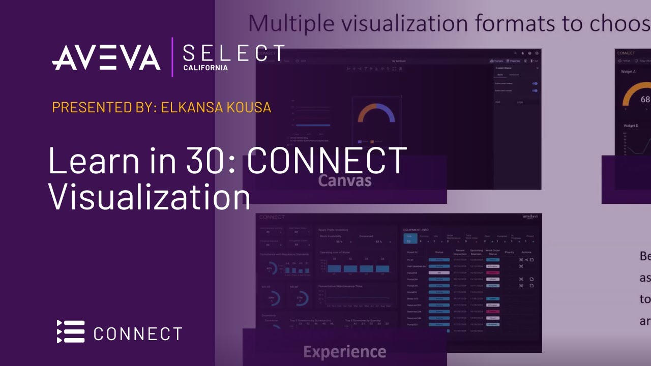 Learn in 30: CONNECT Visualization