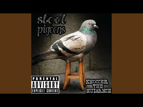 Stool Pigeons