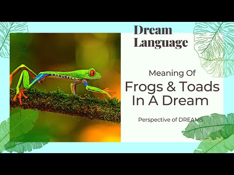 Meaning Of Frogs And Toads In Dreams | Biblical & Prophetic Meaning