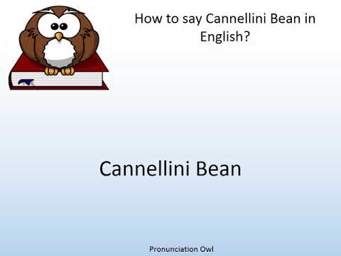 How to say Cannellini Bean in English? - Pronunciation Owl