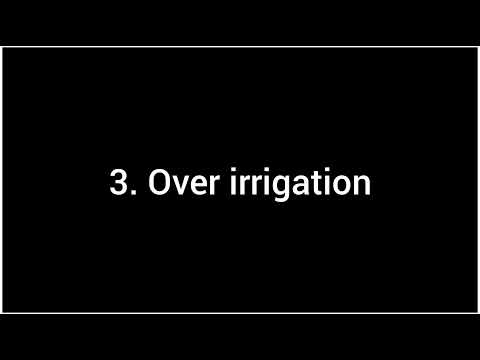 causes of land degradation