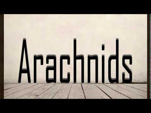 How to Pronounce Arachnids