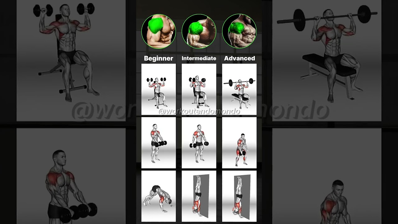 COMPLETE Shoulder Workout: FromBEGINNER to ADVANCED for MAX Gains