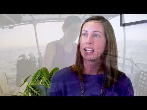 Exploring Microbial Life In Aquatic Systems