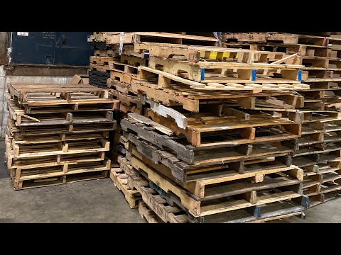 Major Pallet Supplier