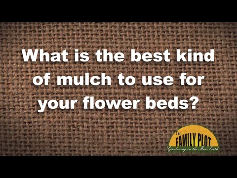 Q&A -- What is the best mulch for a flower bed?