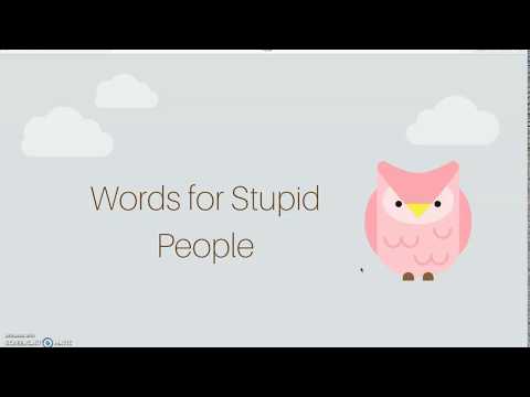 Words for Stupid People | New English Vocabulary