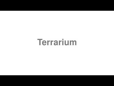 How to Pronounce "Terrarium"