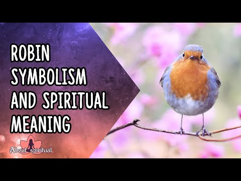 Robin Symbolism And Spiritual Meaning