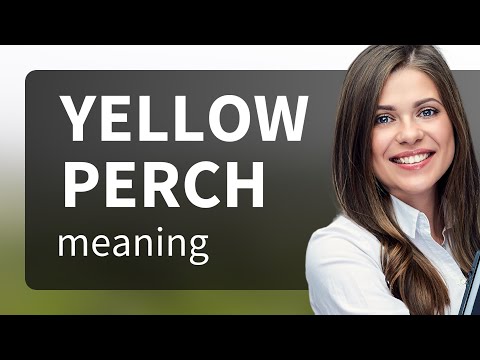Understanding "Yellow Perch": An English Phrase Explained