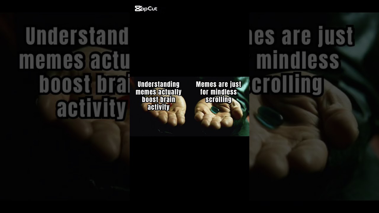 Memes: brain boost or brain drain?