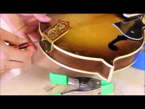 MANDOLIN KIT, DIY F5 Archtop 2009 unfinished | Reverb