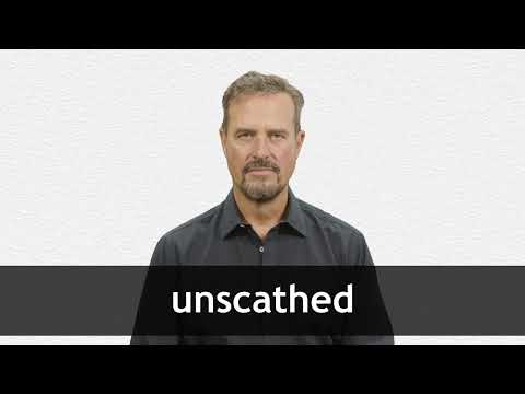 UNSCATHED definition in American English | Collins English Dictionary