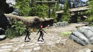 Dancing with selene 1 at Skyrim Special Edition Nexus - Mods and Community