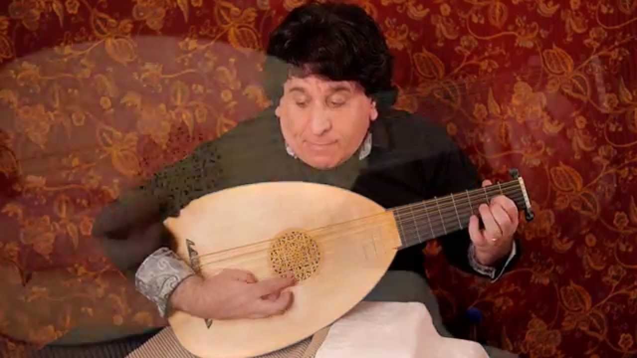 Renaissance Lute Player