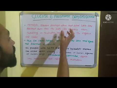 G6pd / glucose 6 phosphate dehydrogenase in hindi