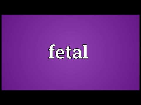 Fetal Meaning