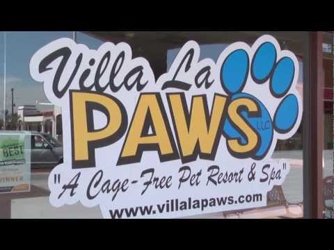 Pet Care Franchise Opportunity