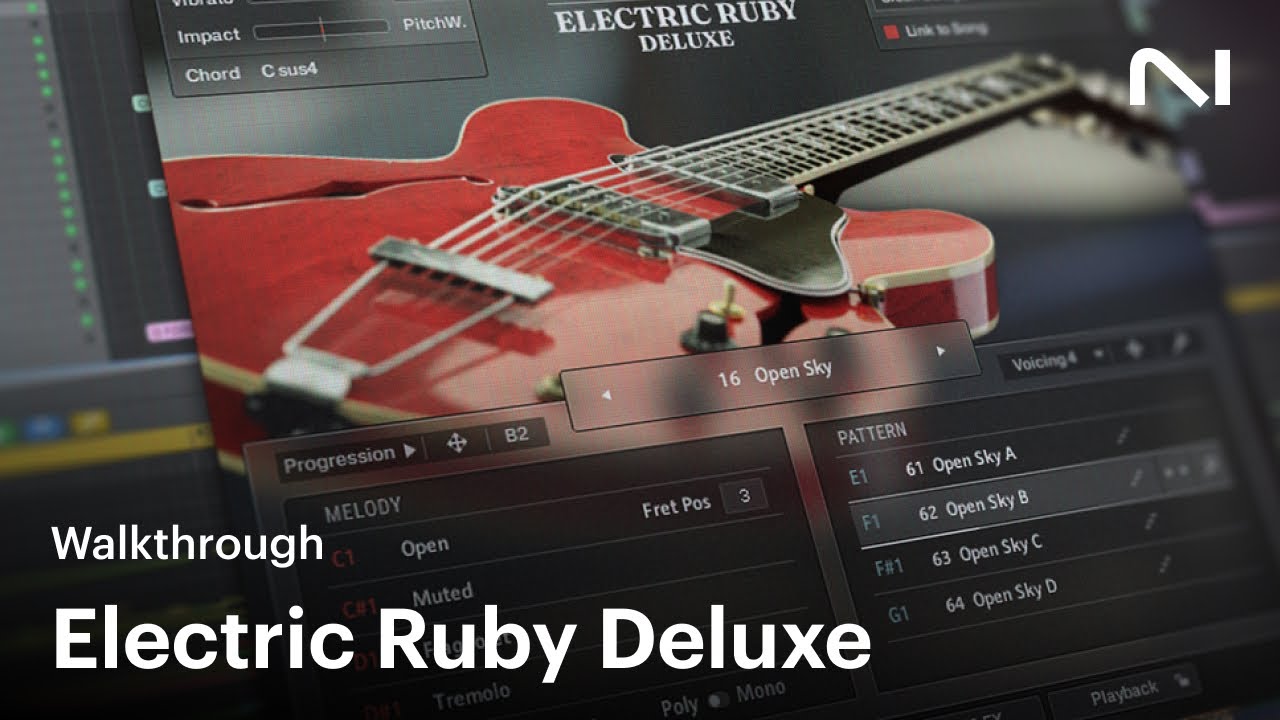 Electric Ruby Deluxe walkthrough | Native Instruments