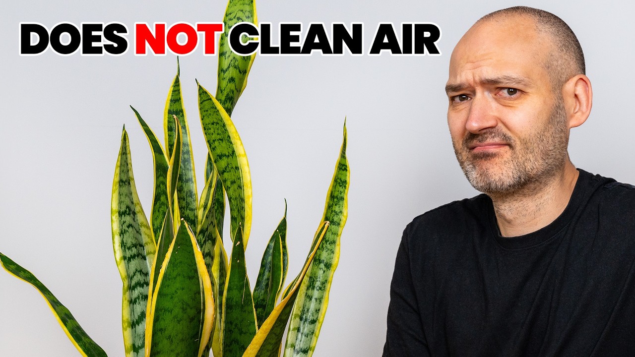 10 Plant Secrets That Are Never Told To Beginners