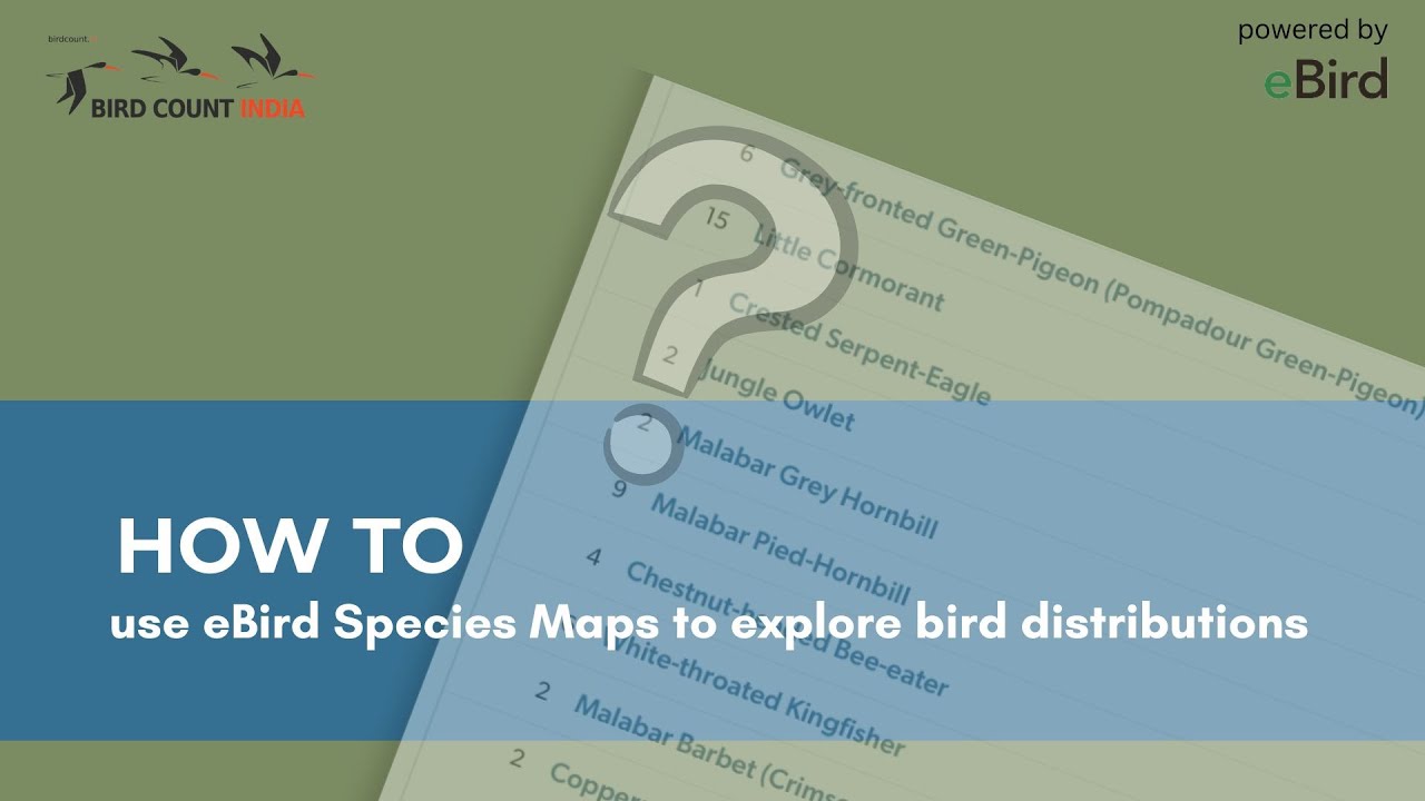 How to Use eBird Species Maps to Explore Bird Distributions