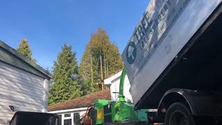 3 Best Tree Services in Birmingham, UK - ThreeBestRated