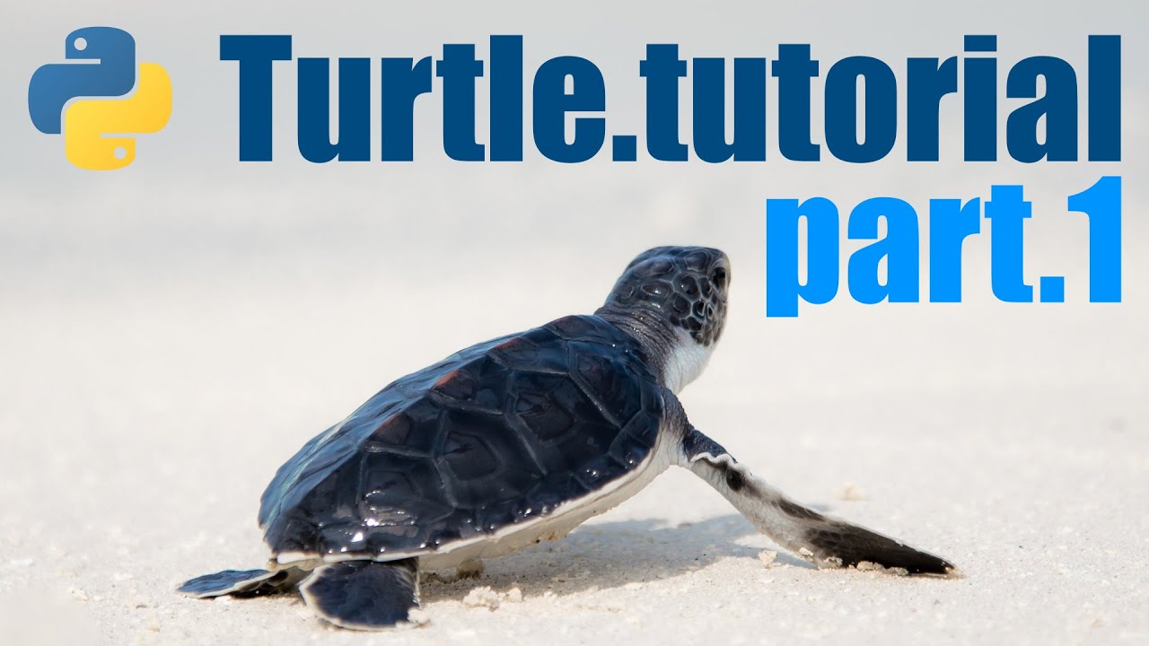 Python Turtle Tutorial - Lesson 1 - Basic movement