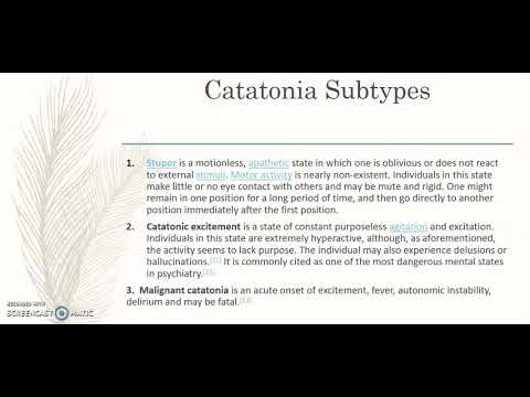 Brief overview of Catatonia Syndrome