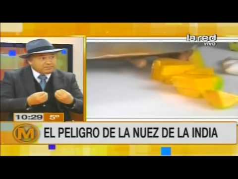 Hablamos sobre el peligro de la nuez de la India