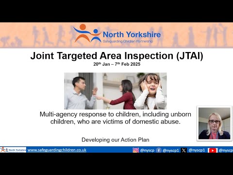 JTAI Domestic Abuse Audit Partner Update May 2025