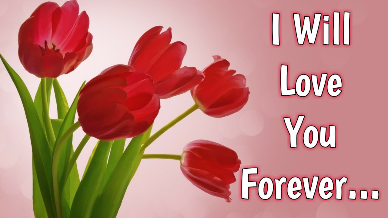 I Will Love You Forever❤