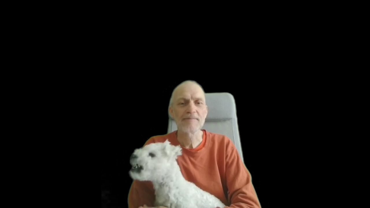 Please support the 2026 PsyToolkit Fundraiser