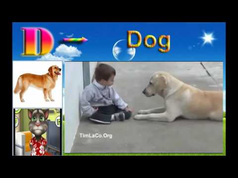 Learn alphabet through pictures and video (Full A to Z)