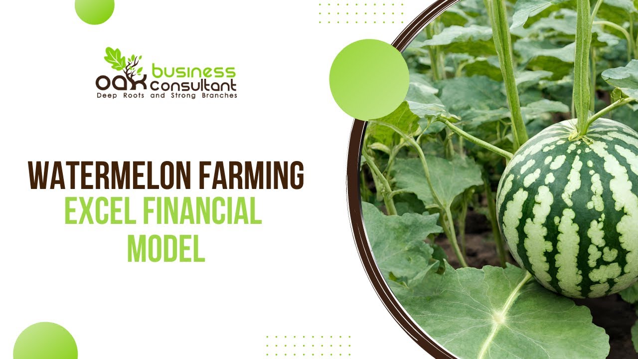 Watermelon Farming Excel Financial Model Projection Template