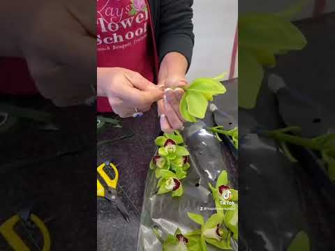 Wiring Cymbidium Orchids is part of our Online Module 3 Program