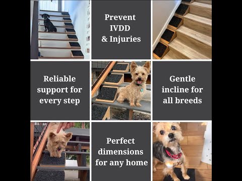 Dog Stairs for Small Dogs - Modular Pet Stairs for Any Staircase - Dog Ramps for Small Dogs