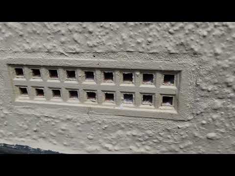 Wasps in airbrick by The Exterminator Pest Control
