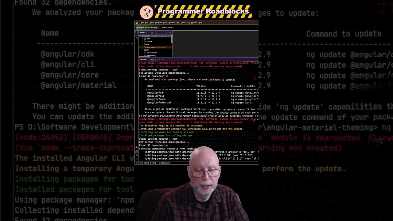 Issue Upgrading Angular
