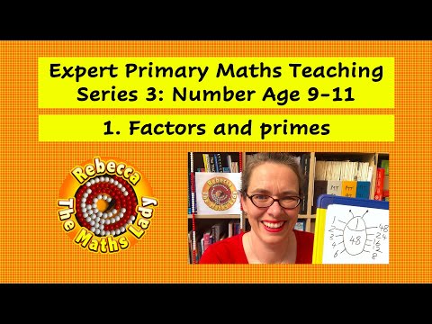 Factors and Primes