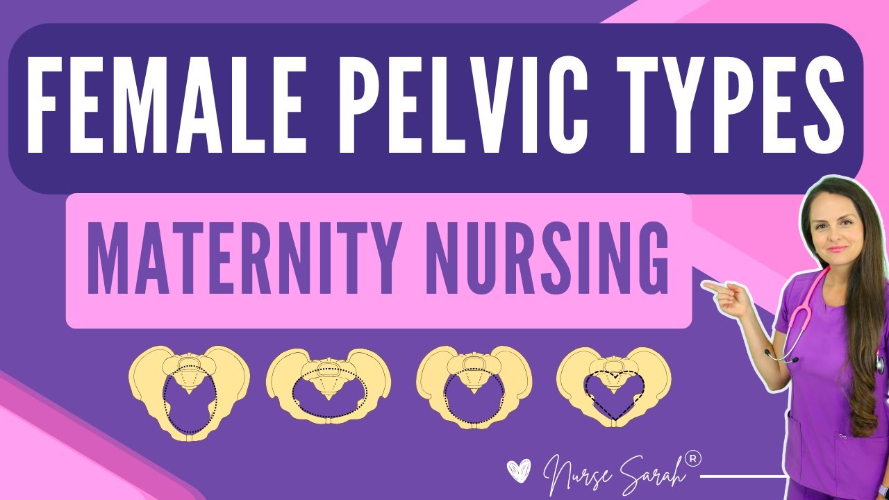 Female Pelvic Types, Diameters, Anatomy Structures | Maternity Nursing NCLEX Review