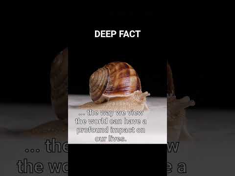 How Our Thoughts Shape Our Reality: A Deep Fact