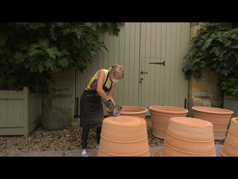 Baseless Plant Pots â the Ultimate Timesaver & Design Hack
