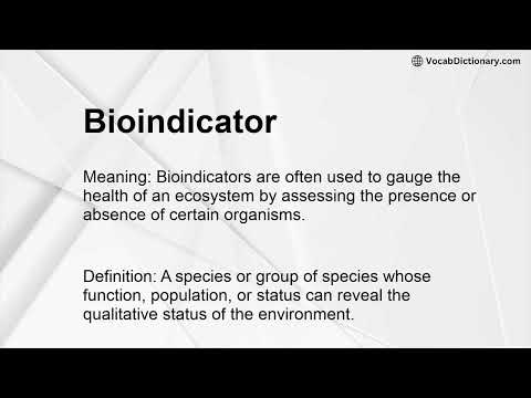 Bioindicator Meaning